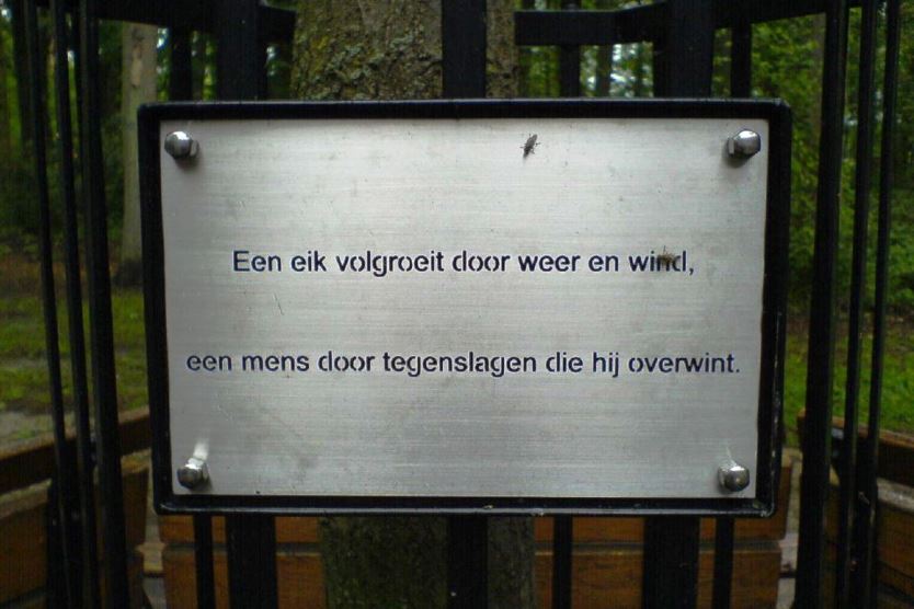 Tegenslagen overwinnen – overweging | vroedman